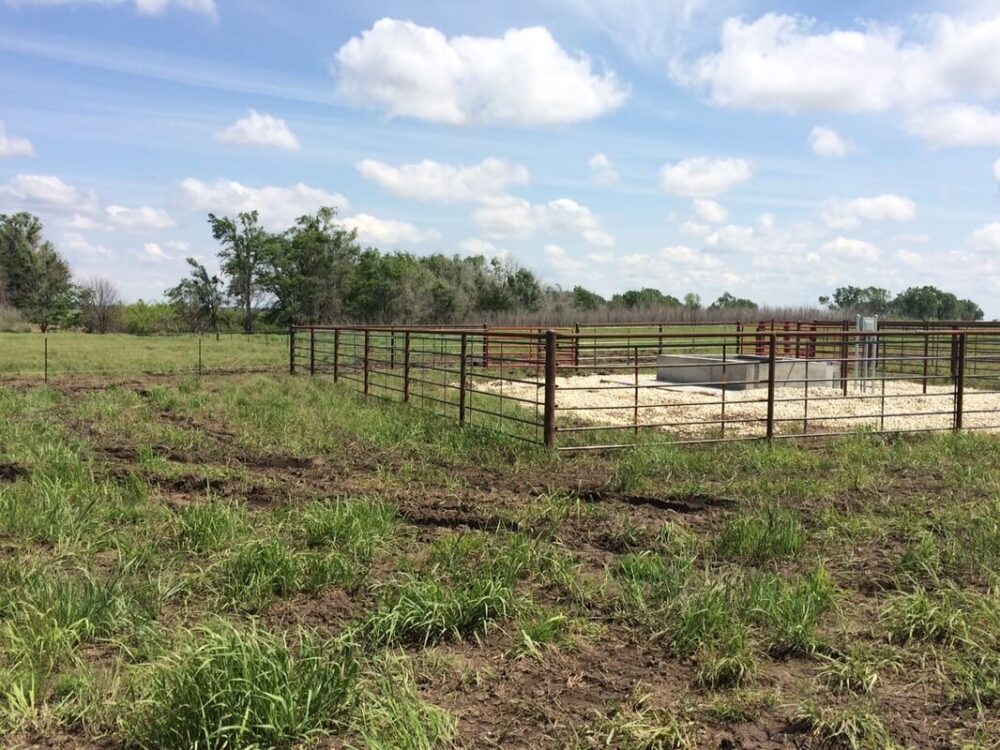Steel Corrals and Custom Livestock Fences in Kansas - Wells Fencing