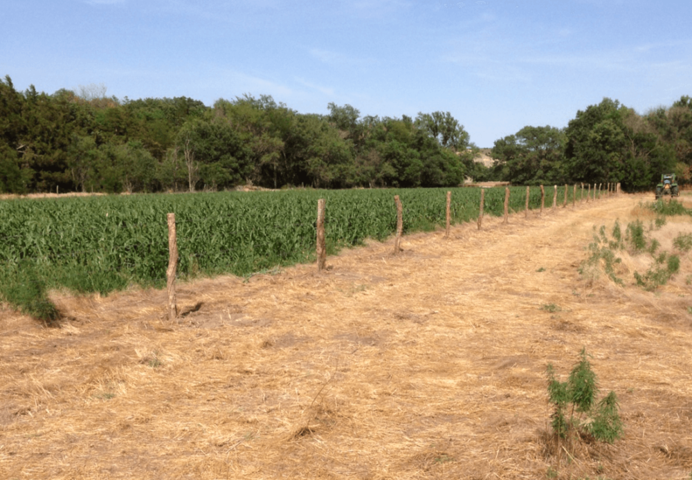 Barbed Wire - Wells Fencing