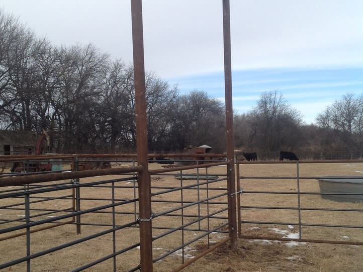Steel Corrals and Custom Livestock Fences in Kansas - Wells Fencing