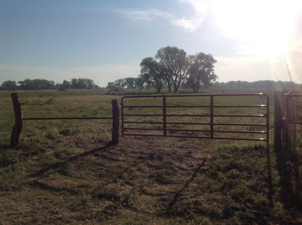 Steel Corrals and Custom Livestock Fences in Kansas - Wells Fencing